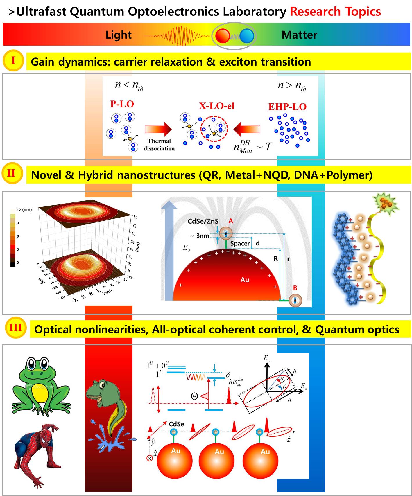 Ultrafast Quantum Optoelectronic
